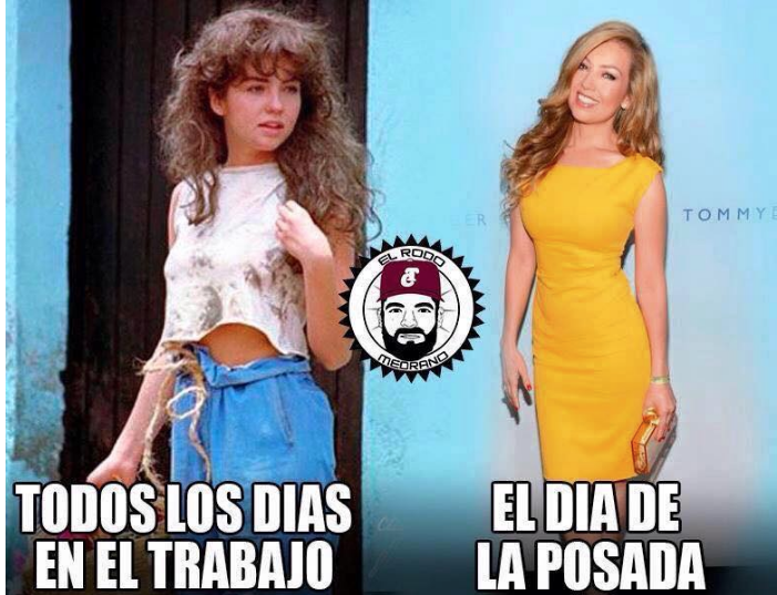 Memes para disfrutar las posadas navideñas | Erizos