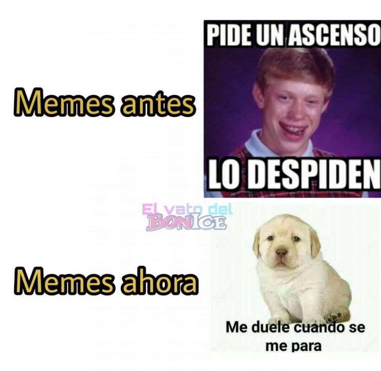 44 memes del perrito 'trizte' para que nadie te pida explicaciones de ...