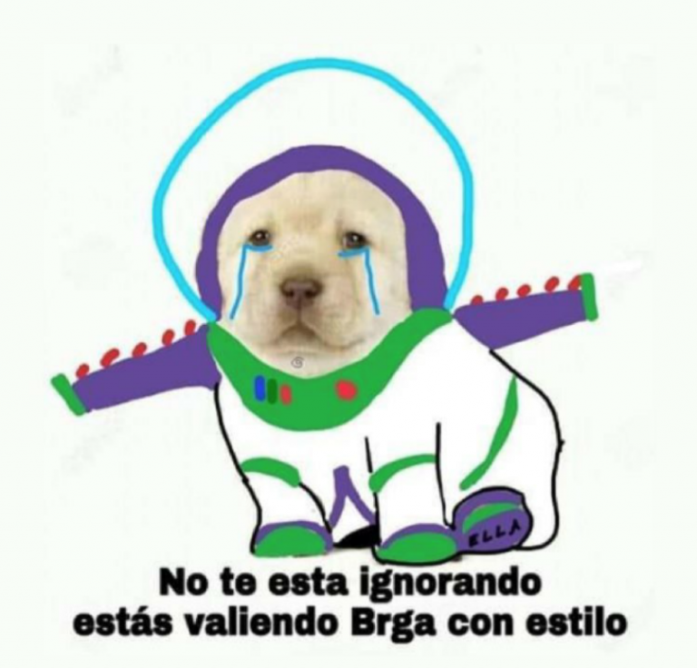 44 memes del perrito 'trizte' para que nadie te pida explicaciones de ...