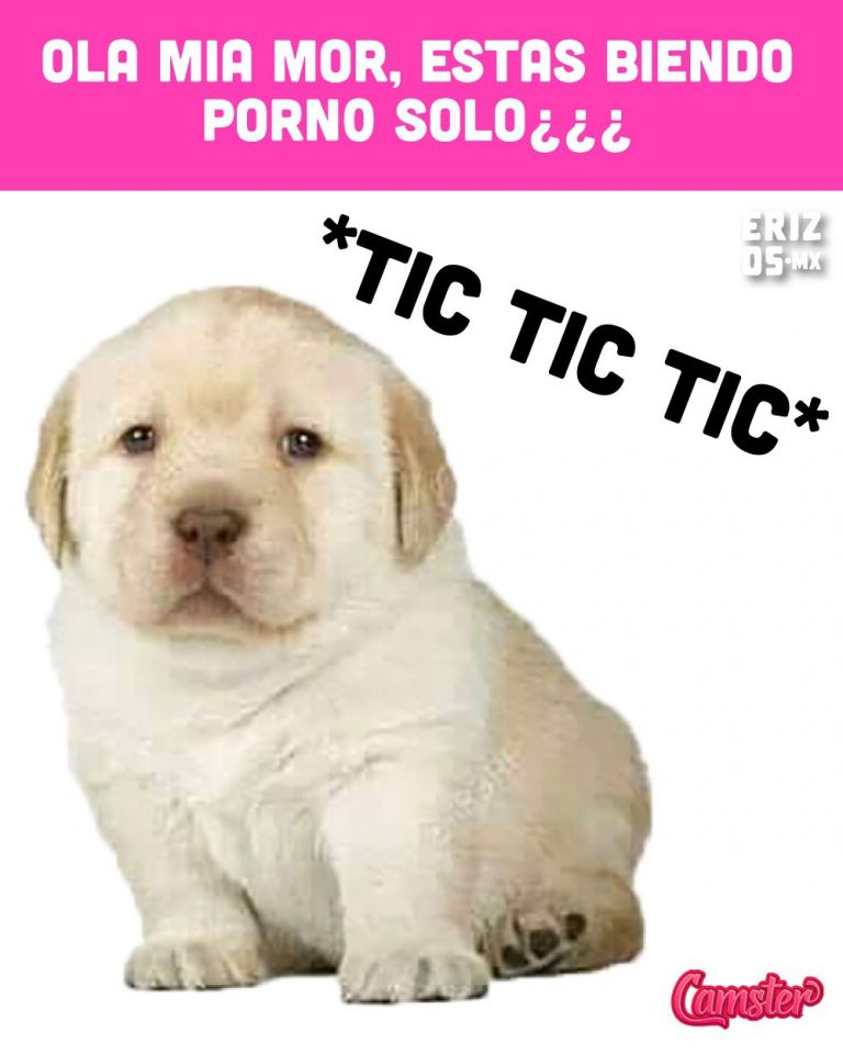 44 memes del perrito 'trizte' para que nadie te pida explicaciones de ...