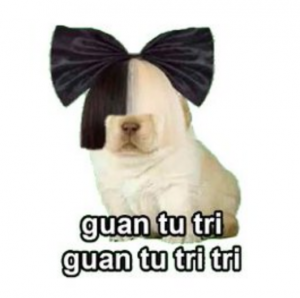 44 memes del perrito 'trizte' para que nadie te pida explicaciones de ...