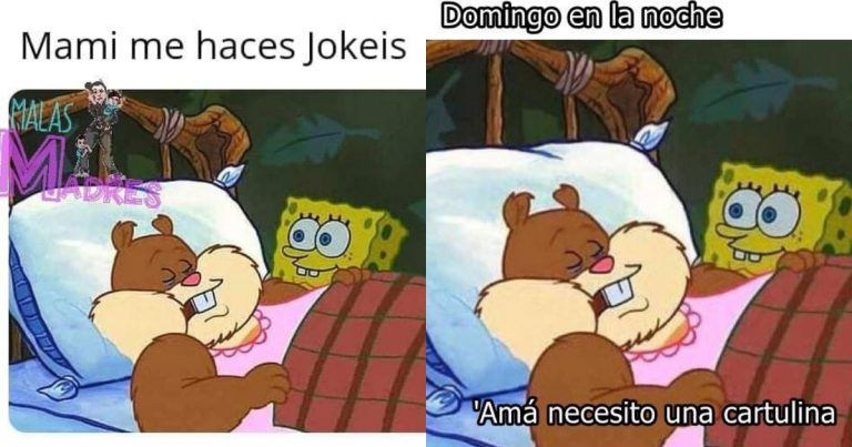 18 memes de tu mamá bien dormidota como Arenita - Erizos MX