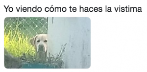 OH NO: El origen del meme de la 'vístima' es más oscuro de lo que ...