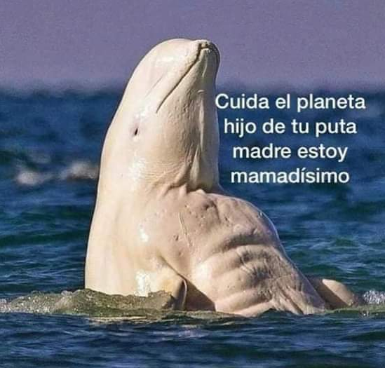 Memes para que le demuestres a todos que OLV estás mamadísimo - Erizos MX
