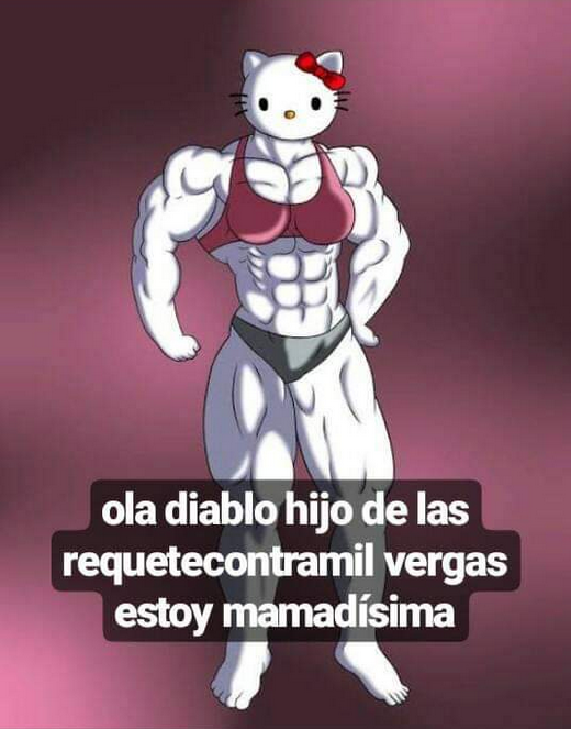 Memes para que le demuestres a todos que OLV estás mamadísimo - Erizos MX