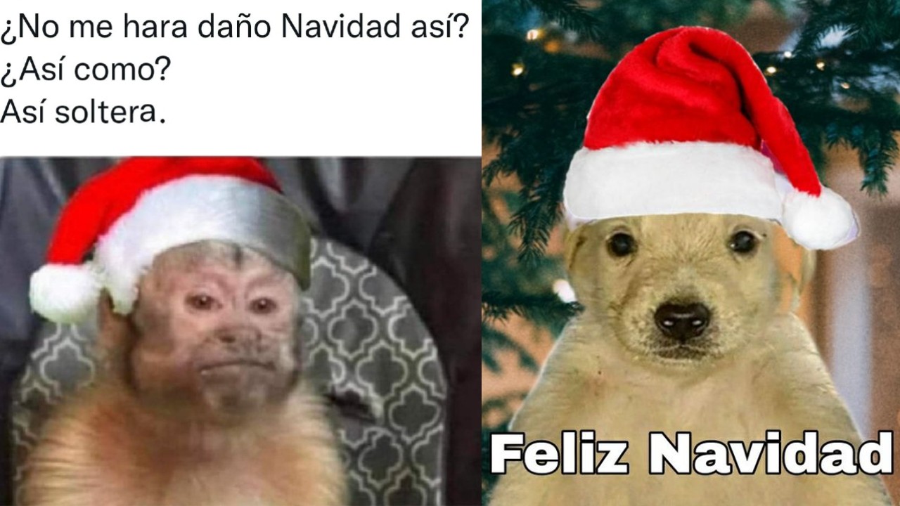 15 Memes para la cena de Navidad, antes de iniciar la pelea por los ...
